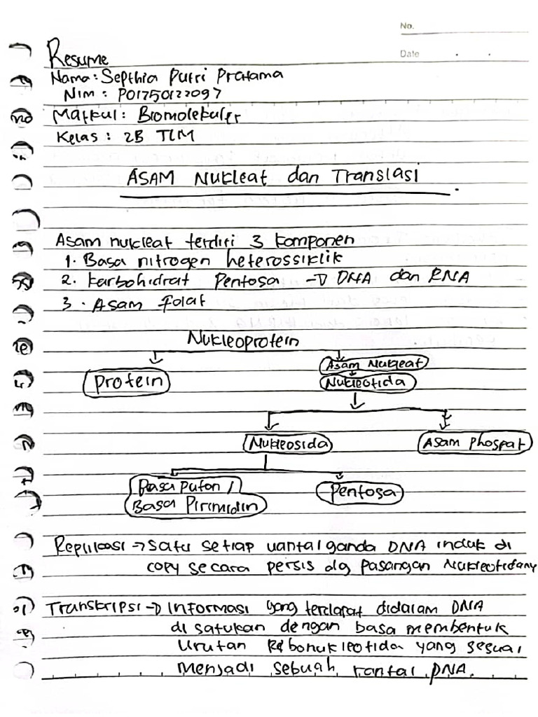 Resume Biomolekuler Materi Asam Nukleat Dan Translasi Septhia Putri ...