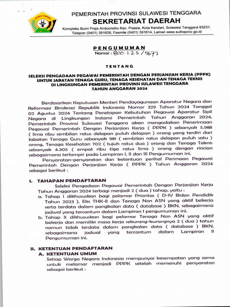 Pengumuman PPPK Prov. Sultra 2024 | PDF