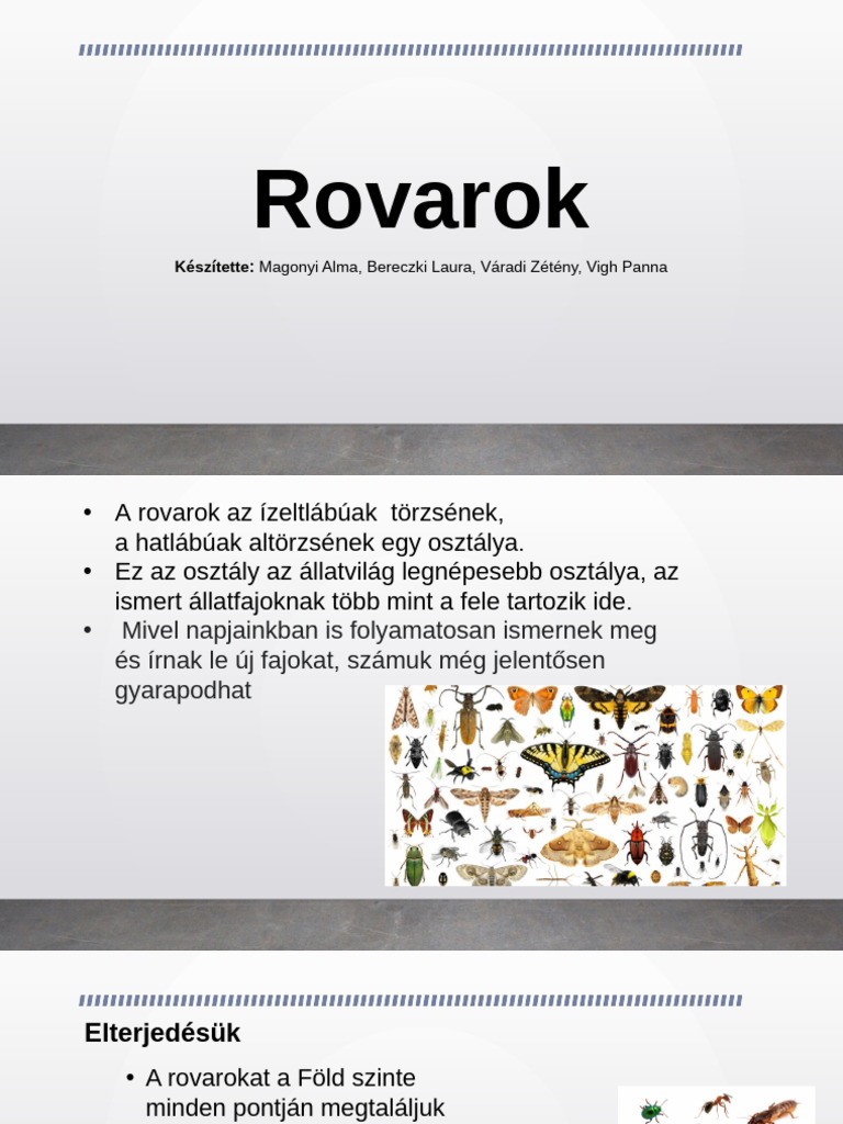 Rovarok | PDF