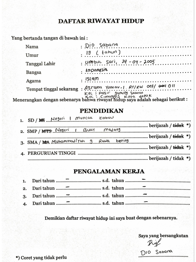 CV Lamaran Kerja Dio | PDF