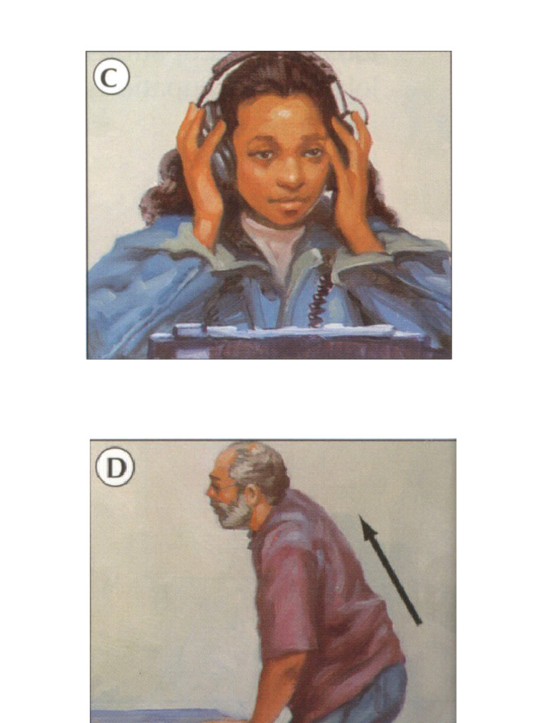 Lesson 1 Visuals | PDF