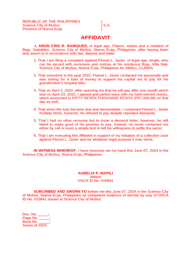 Affidavit For Small Claims | PDF