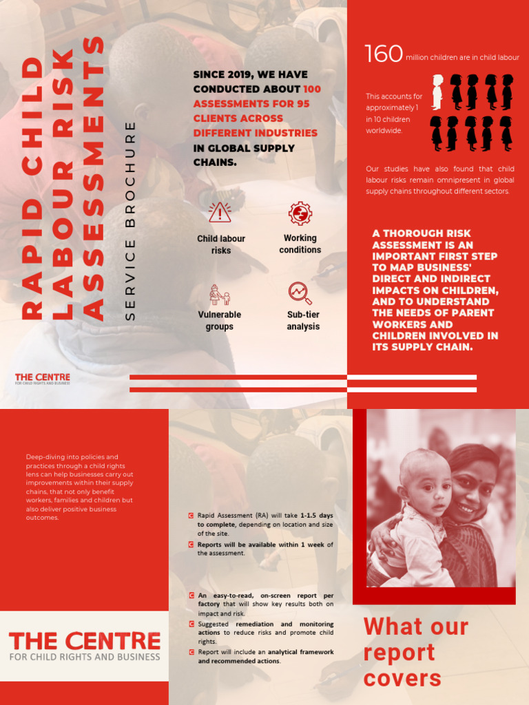 Rapid Assessment Brochure | PDF