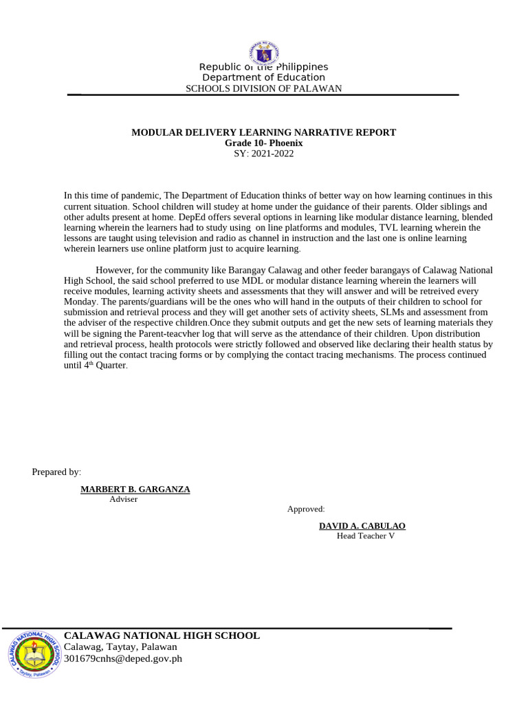 Modular Delivery Learning NARRATIVE REPORT | PDF