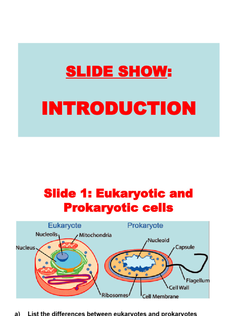 Introduction To Microbes - SLIDE SHOW | PDF | Bacteria | Cell (Biology)