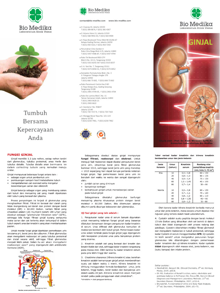27 Ginjal | PDF