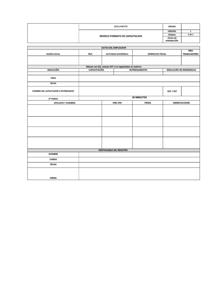 Modelo De Formato De Capacitacion Sst Pdf