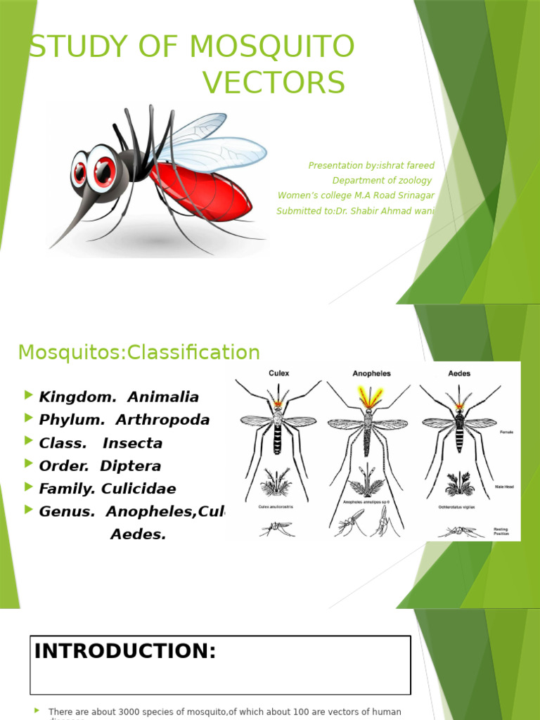 Mosquitoes | PDF