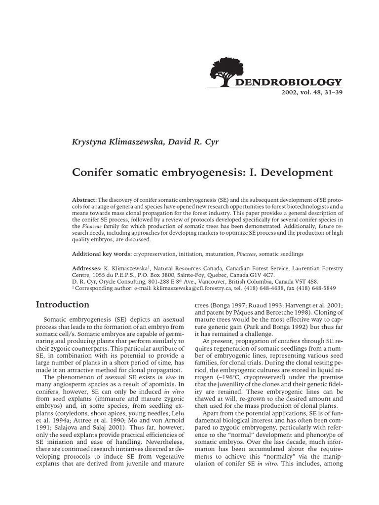 Conifer Somatic Embryogenesis I Dev | PDF