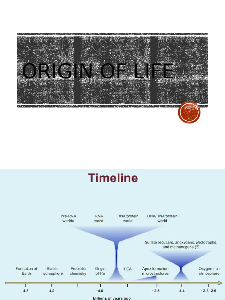 Origin of Life | PDF