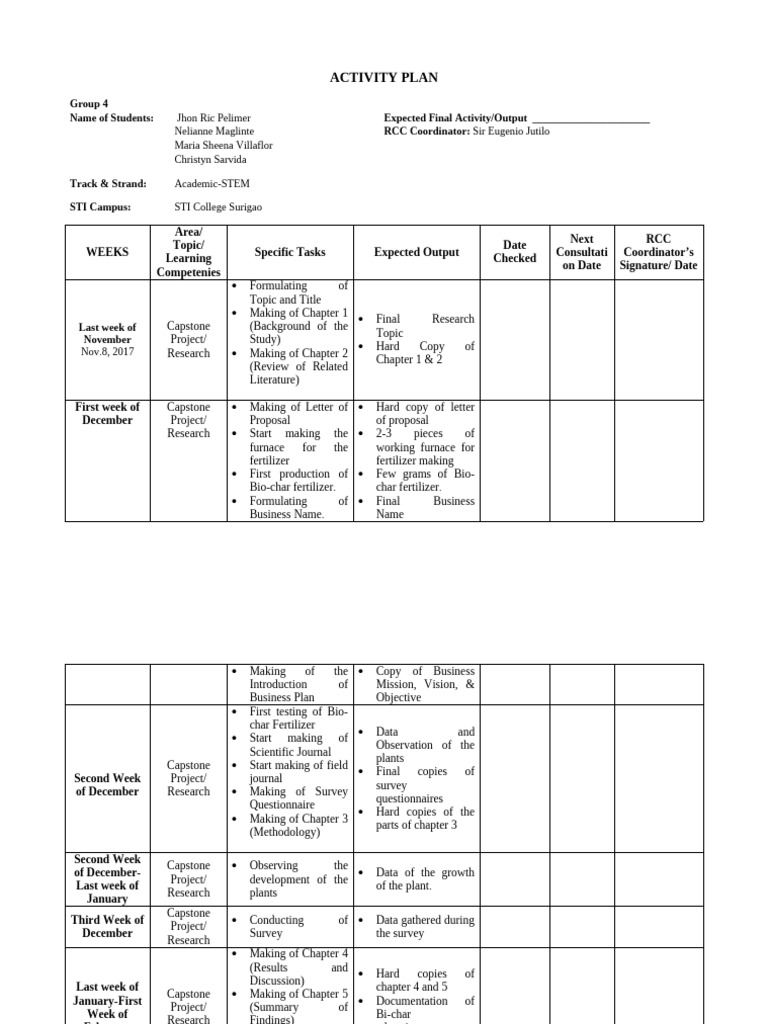 Activity Plan | PDF