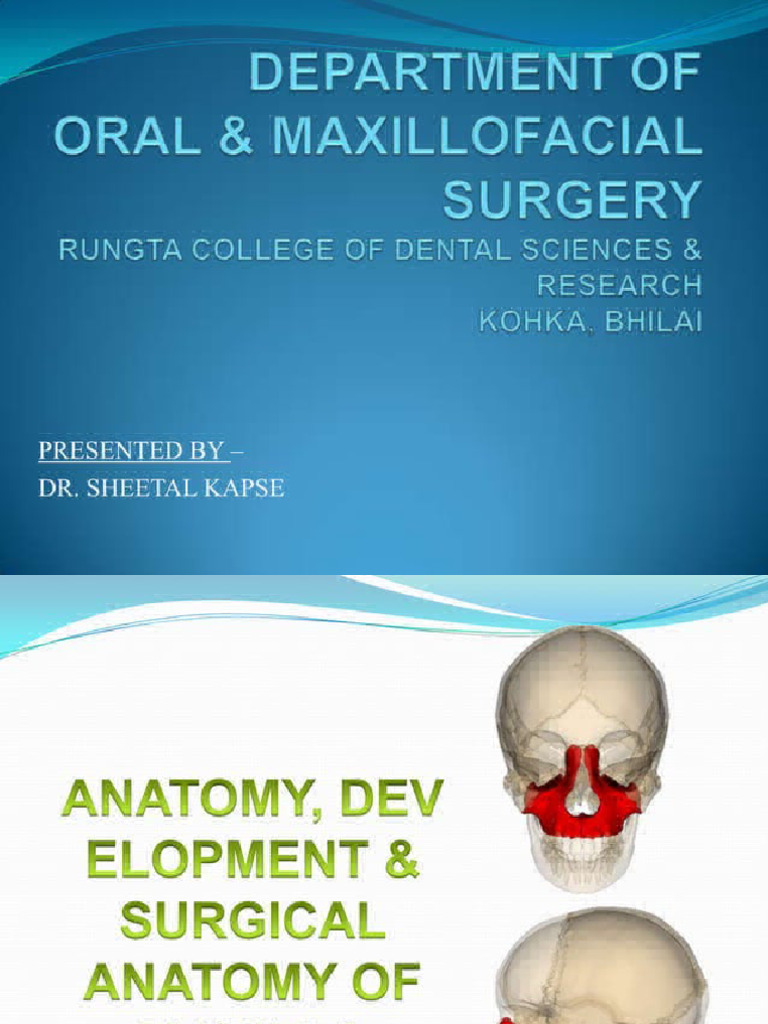 Maxilla Anatomy, Development & Surgical Anatomy - 20240728 - 214816 | PDF