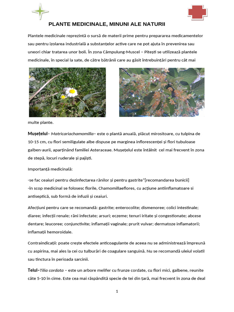 Plante Medicinale, Minuni Ale Naturii | PDF