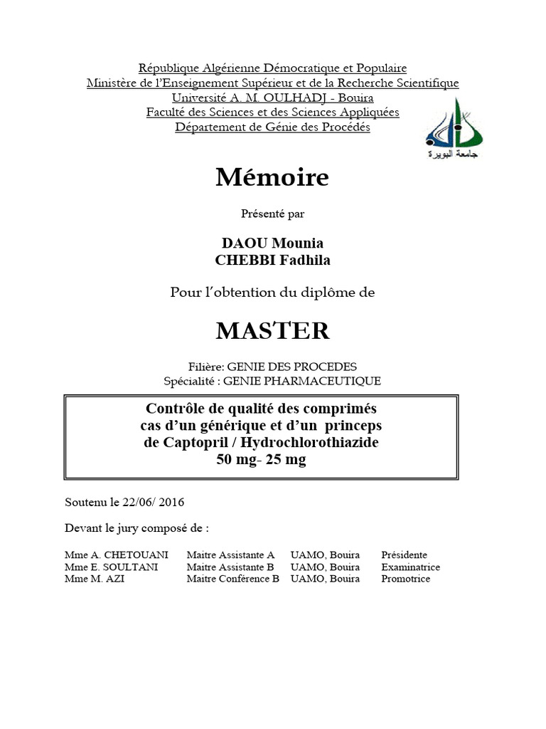 Mémoire: Master | PDF