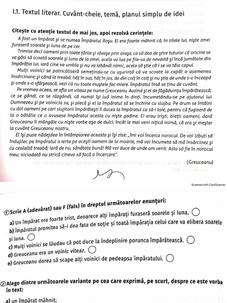 Fisa - Textul Narativ | PDF