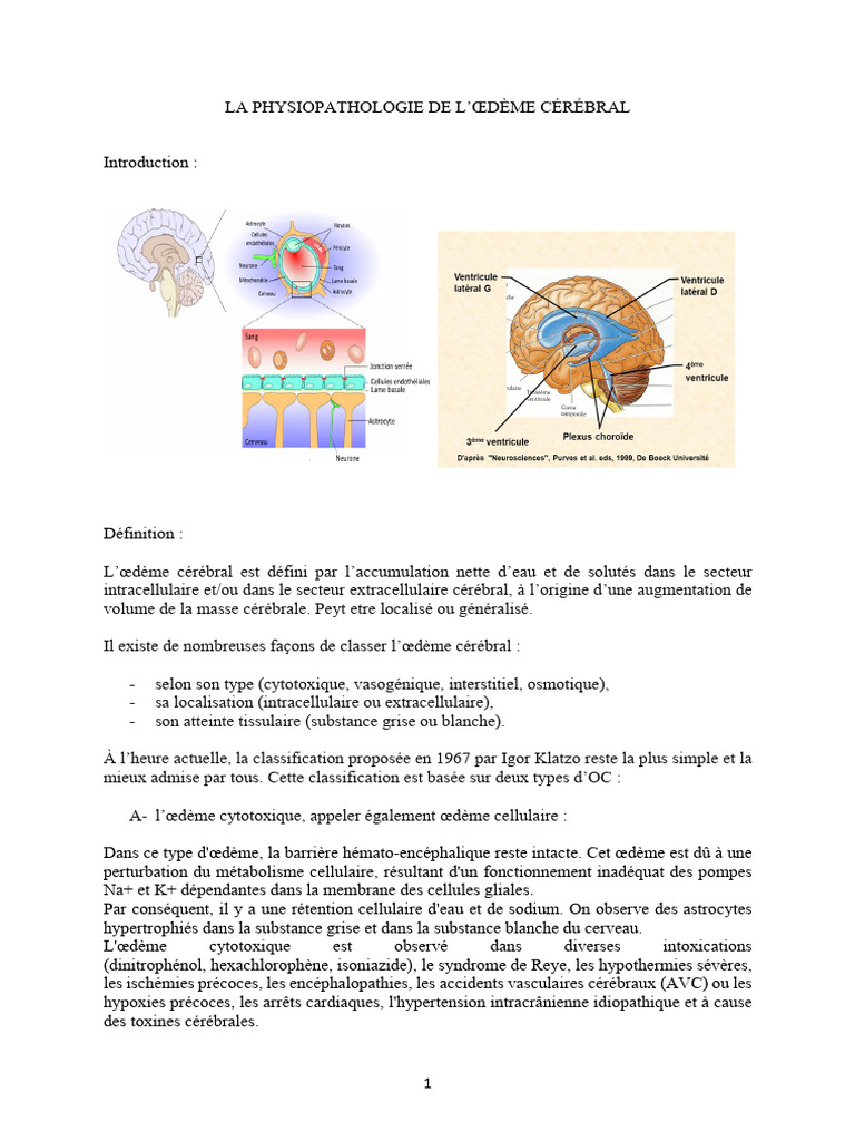 LA PHYSIOPATHOLOGIE DE L'oedème Cérébral | PDF