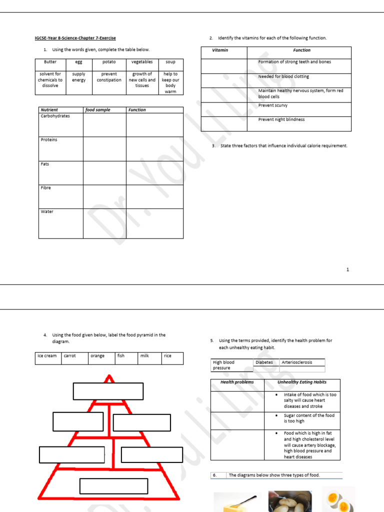IGCSE-Science-Grade 8-Chapter 7-Diets - Exercise - Student | PDF