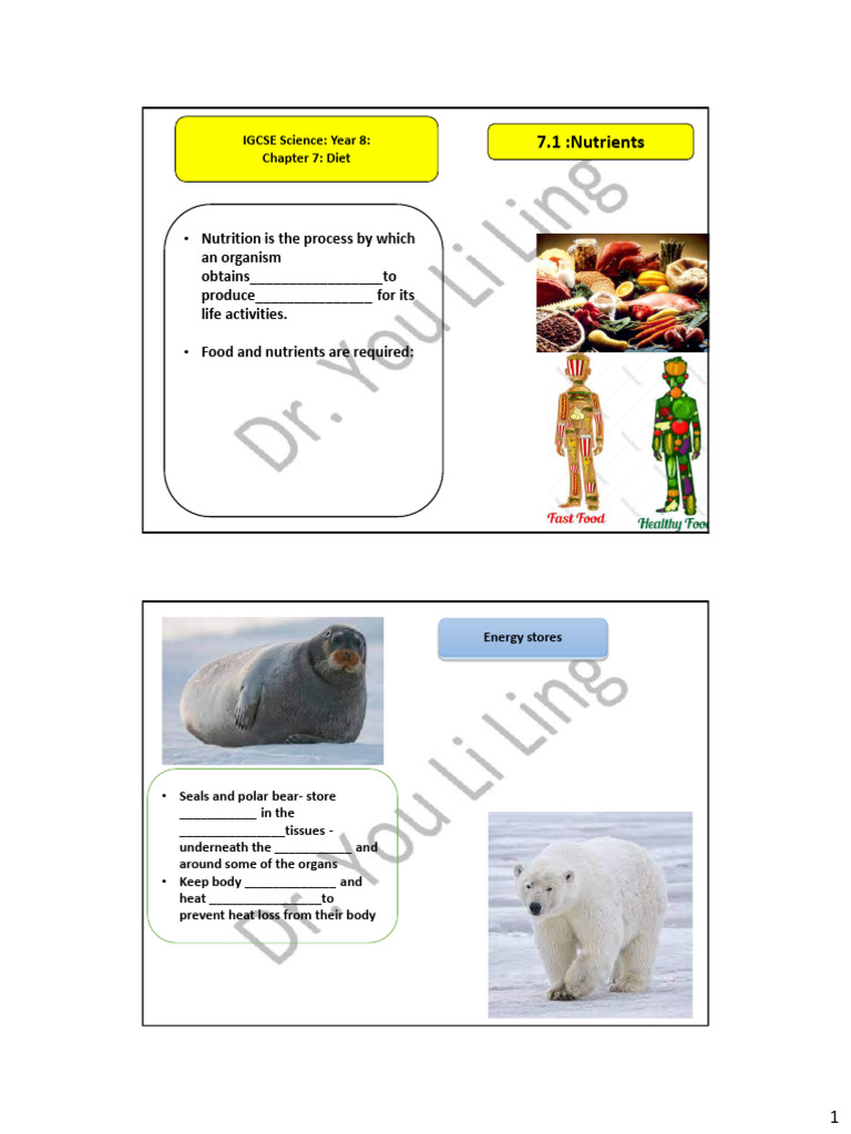 IGCSE-G8-Science-Chp 7-Diet and Growth - Student | PDF
