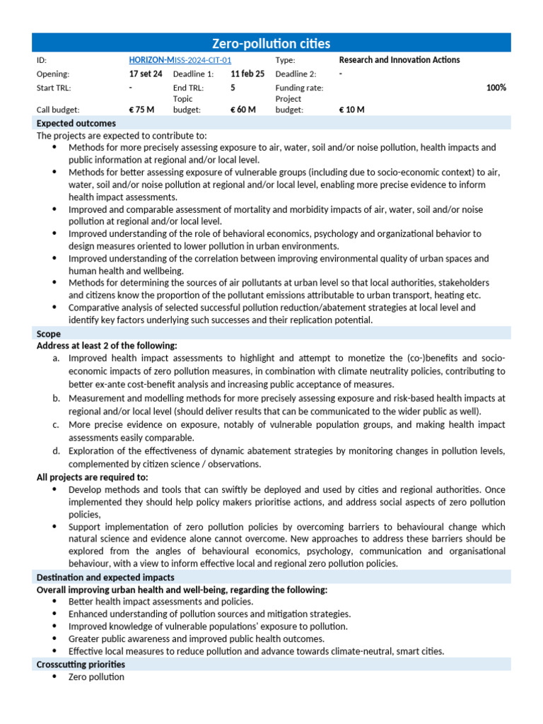 Topic Descriptions - Sofia de Amat | PDF