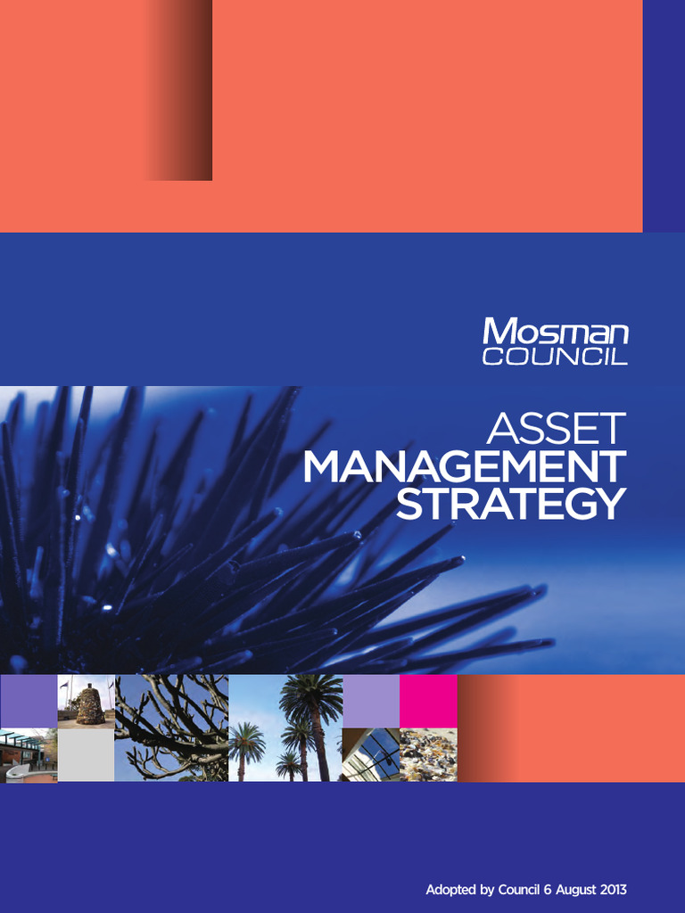 Asset Management Strategy | PDF