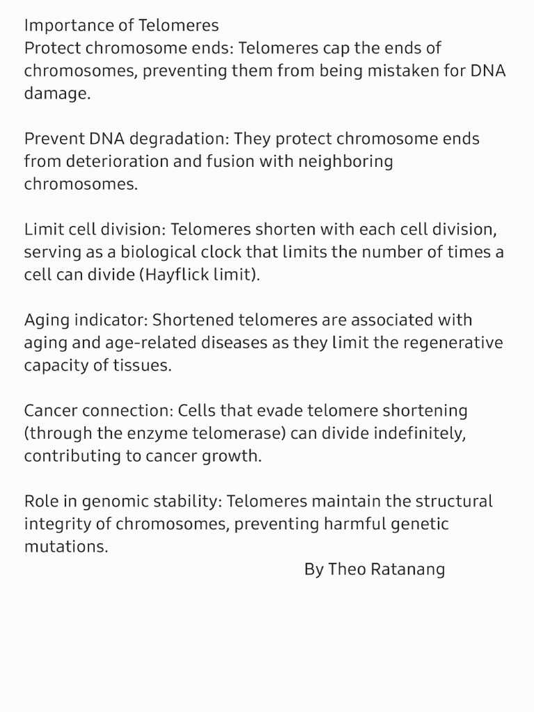 Importance of Telomeres - 241002 - 082108 | PDF