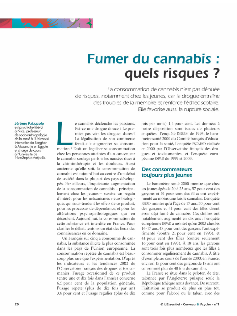 04 D P Fumer Du Cannabis Quels Risques Pdf