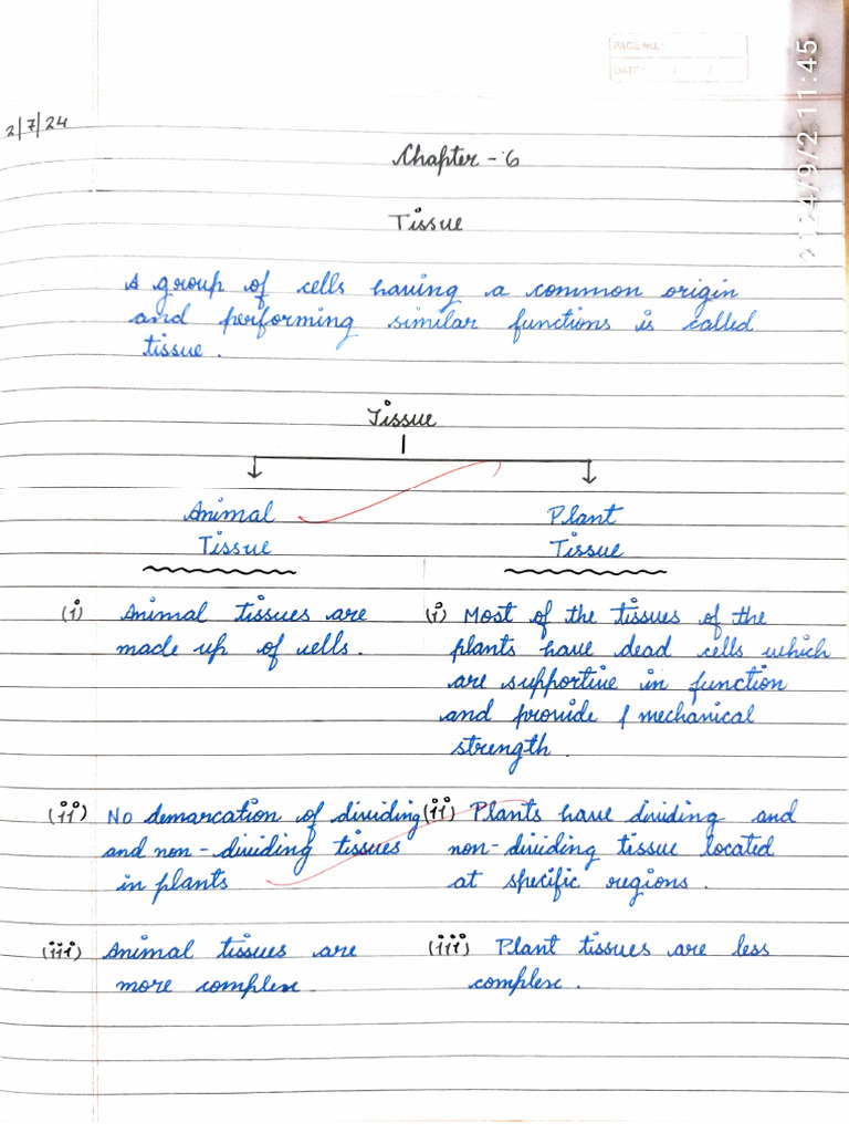 Tissue final - class 9 Biology (1) | PDF
