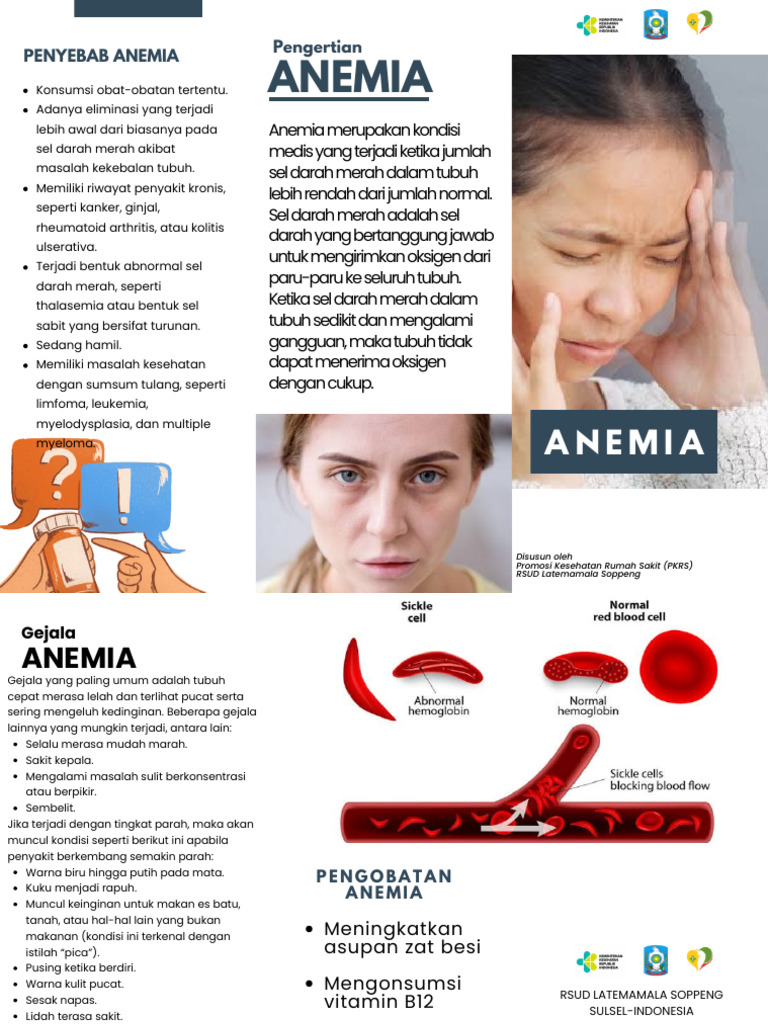 LEAFLET ANEMIA | PDF