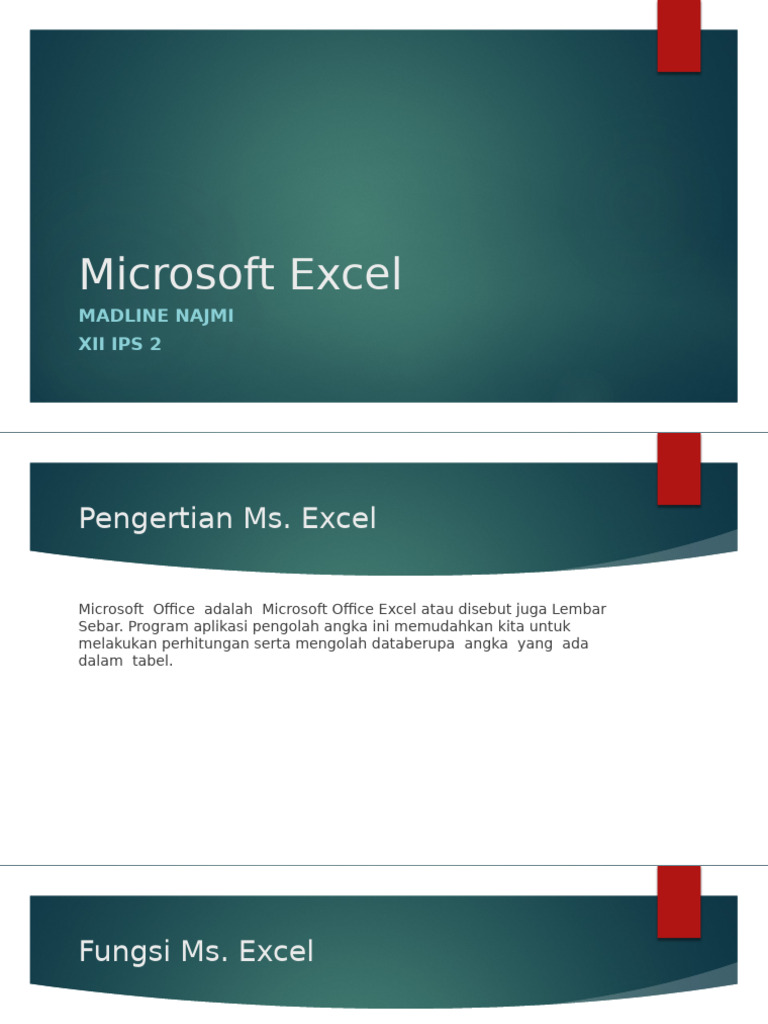 Microsoft Excel | PDF