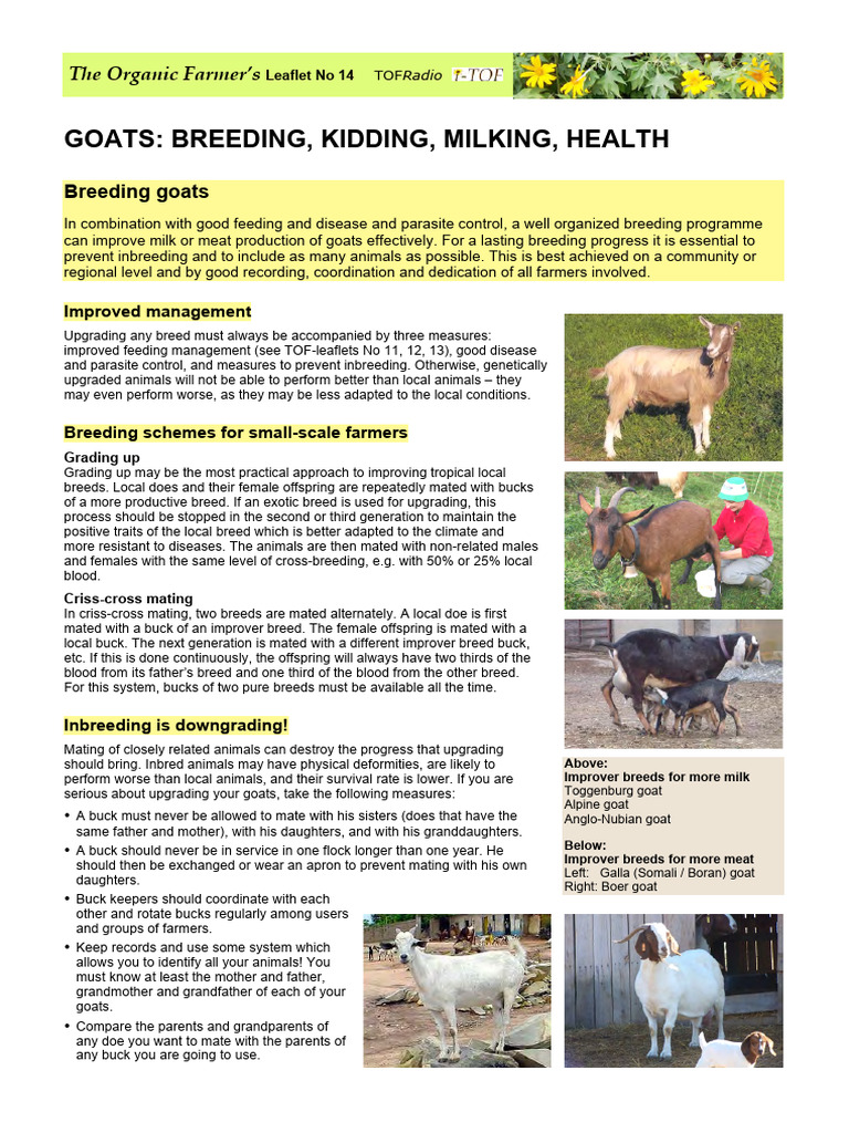 4197.14 Goats Breeding Kidding Milking Health 15.5.2010 | PDF