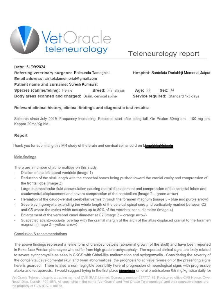 Vet Oracle - MRI and CT Report Suresh Kumawat-2 | PDF