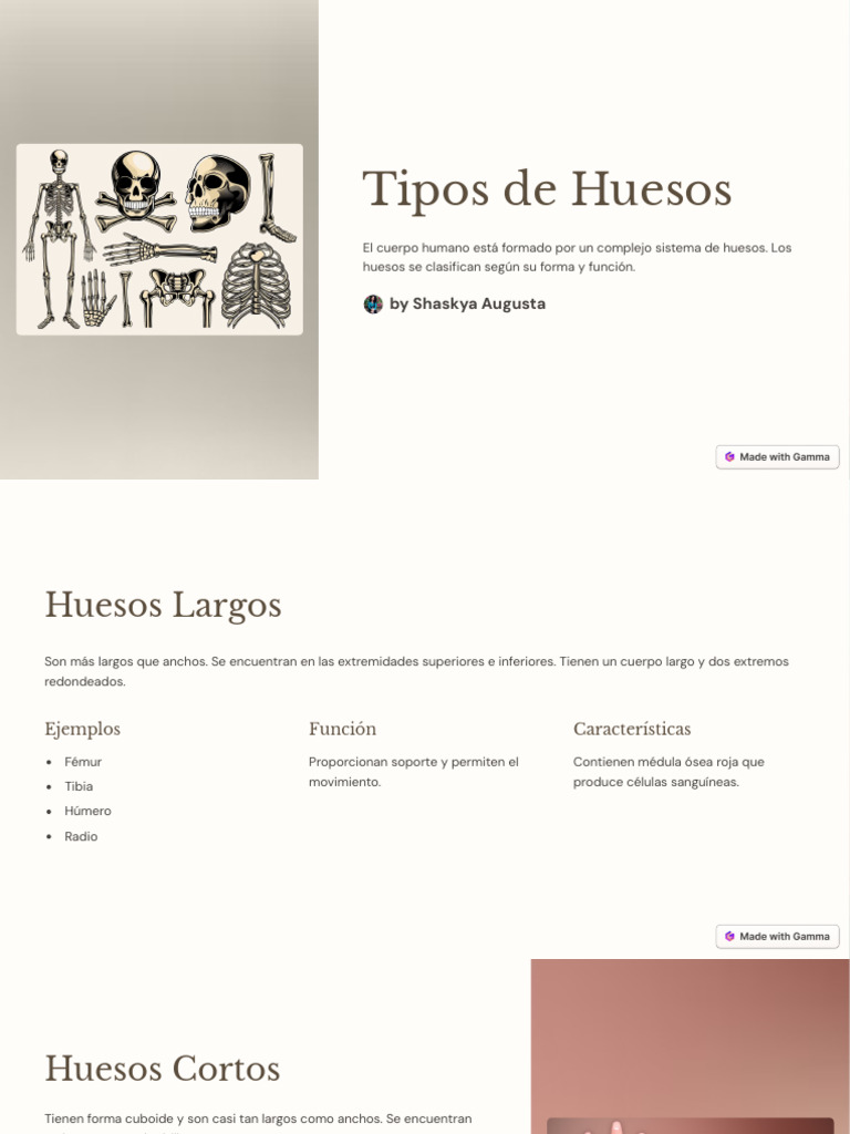 Tipos de Huesos | PDF
