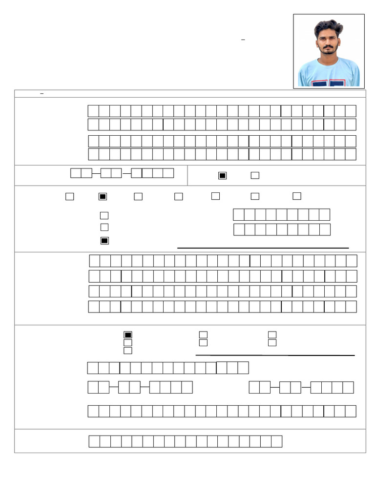 Pawan Visa Form | PDF