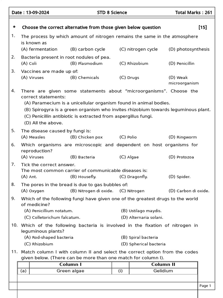 Exam Paper Class 8 | PDF