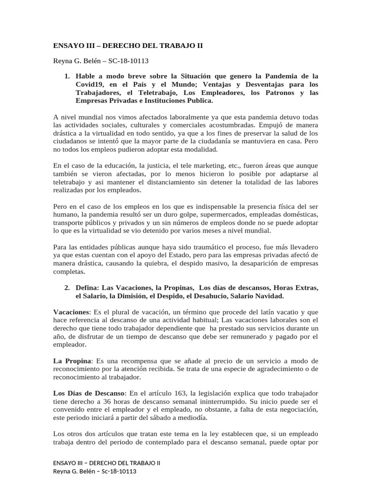 ENSAYO III - REYNA G. BELÉN SC-18-10113 | PDF