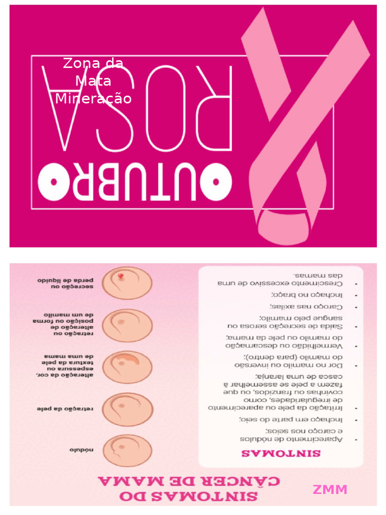 Cartilha Outubro Rosa | PDF