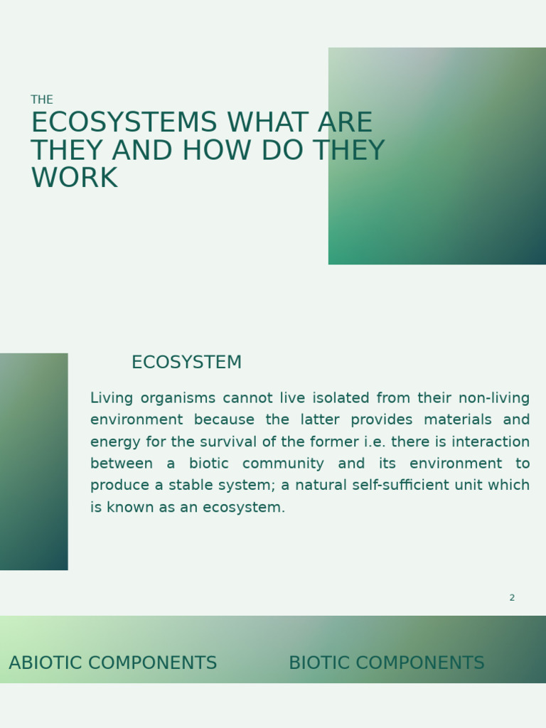 Ge15 PPT Ecosystem 1 | PDF