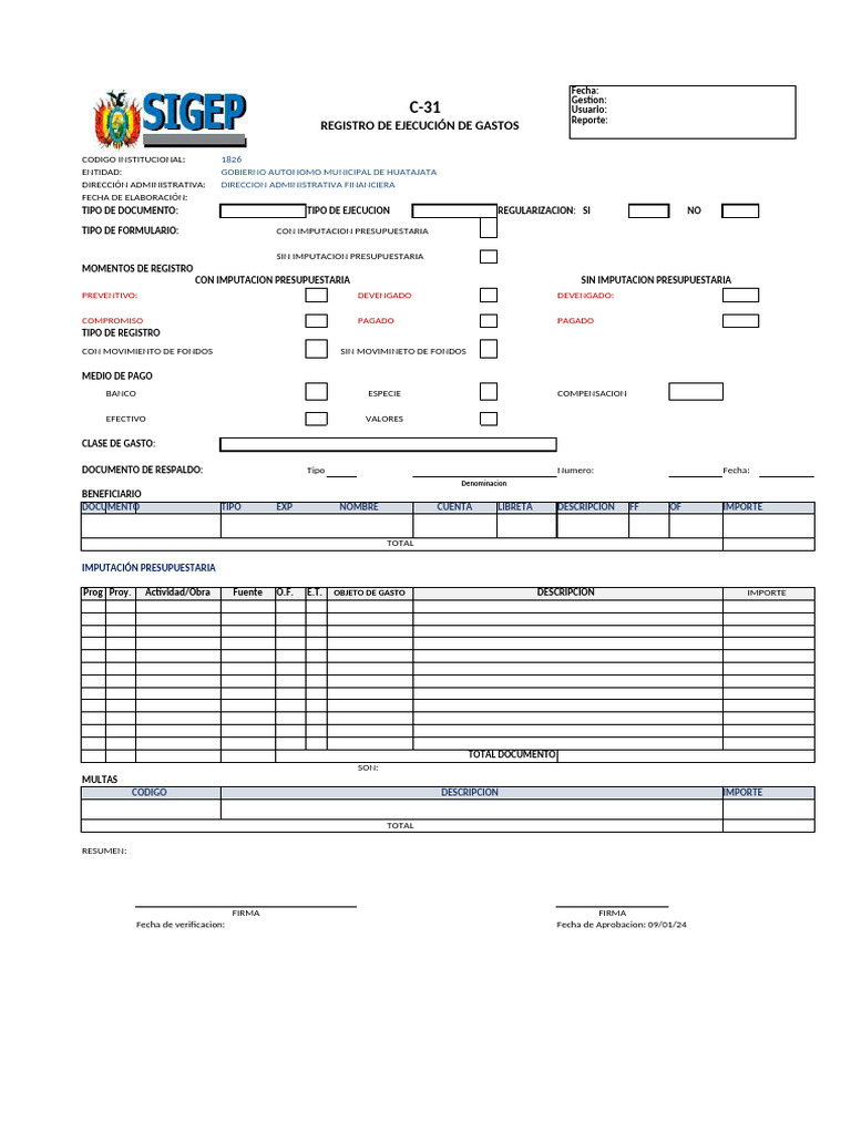 FORMATO C31 2024 | PDF
