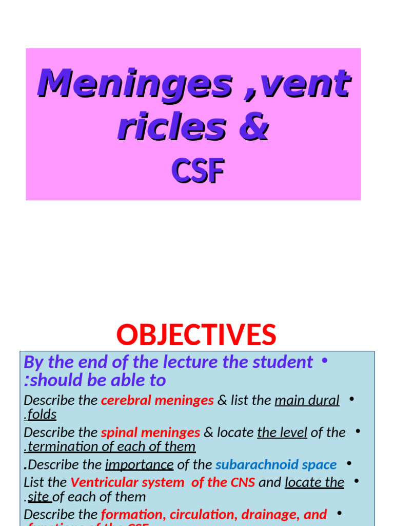 Meninges | PDF