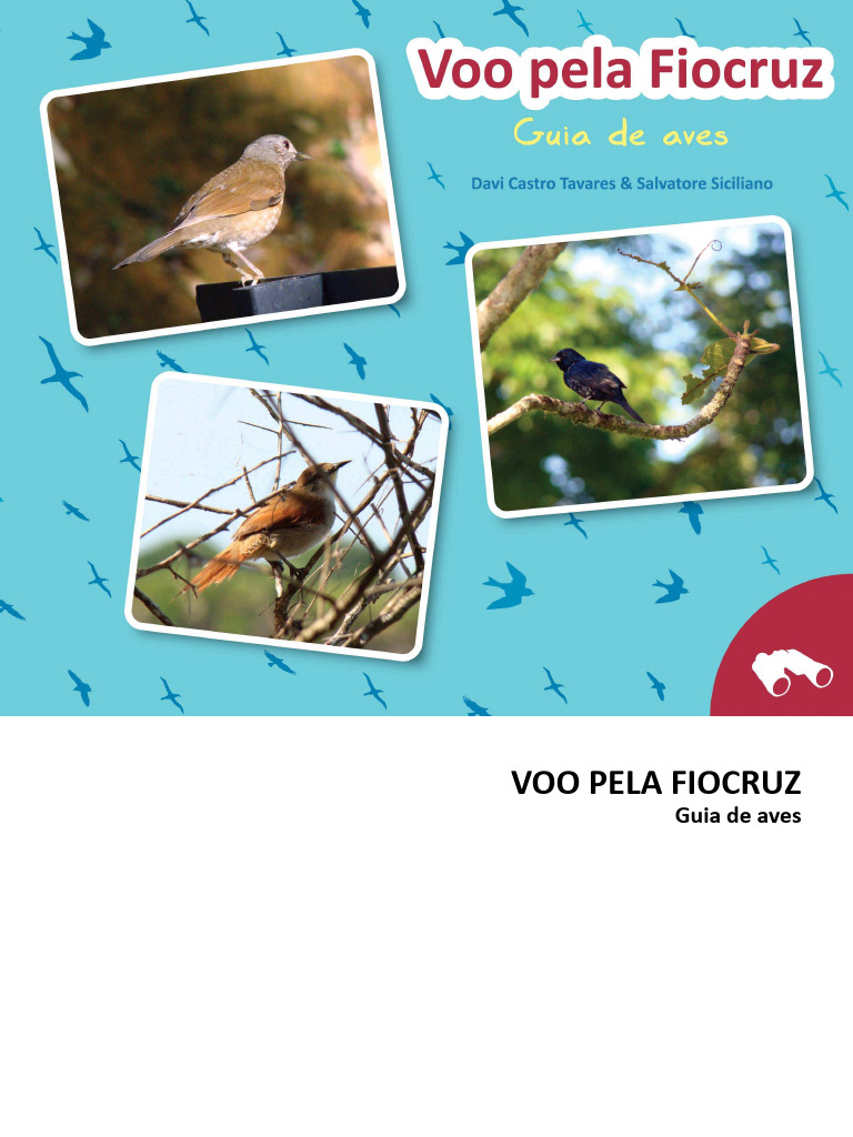 Guia Aves | PDF