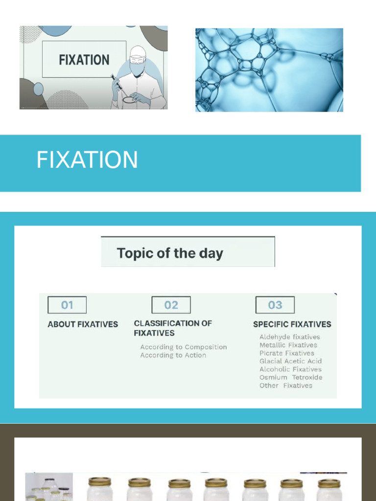 Fixation and Decalcification Lecture Part 3 (2023-2024) | PDF