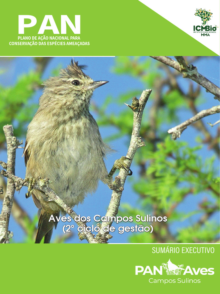 Pan Aves Dos Campos Sulinos Sumario | PDF