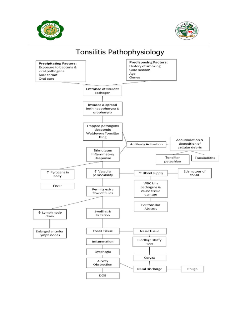 Tonsillitis Pathophysiology | PDF