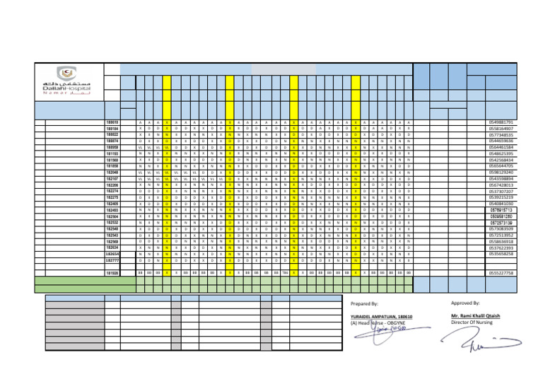 Duty Rota - Oby Gyn October 2024 | PDF