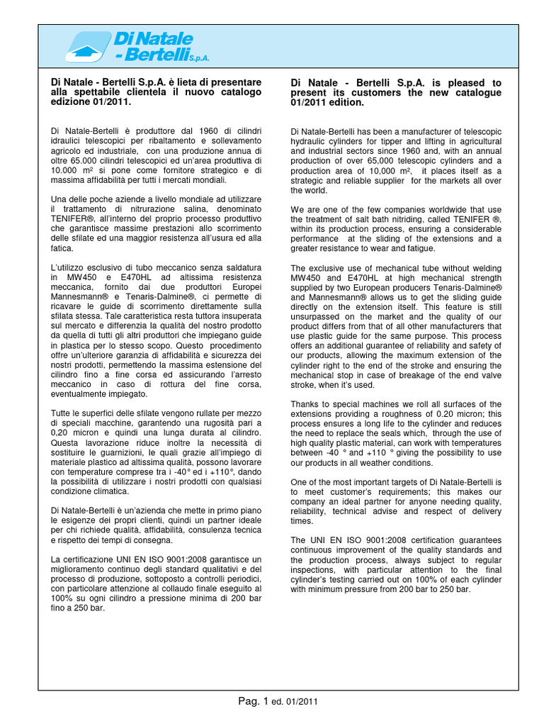 Catalogo Dinatale 28032013 | PDF