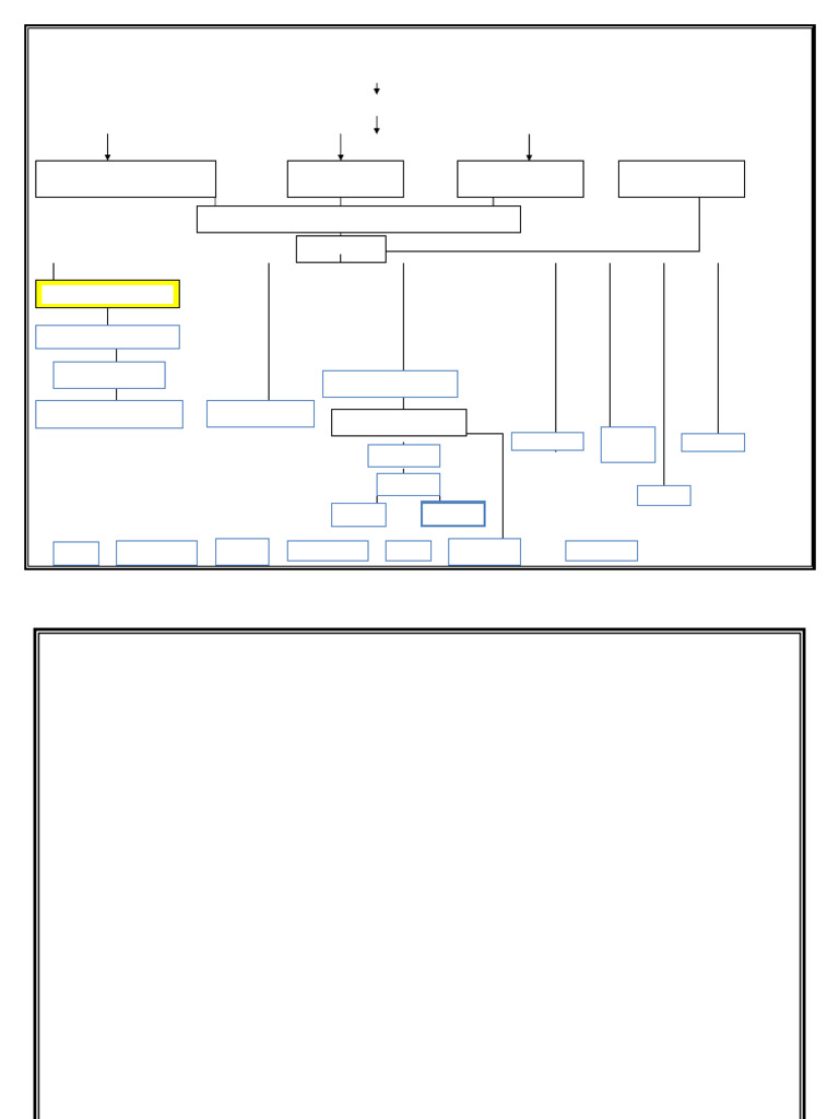 Organization Chart GINERA 2 | PDF
