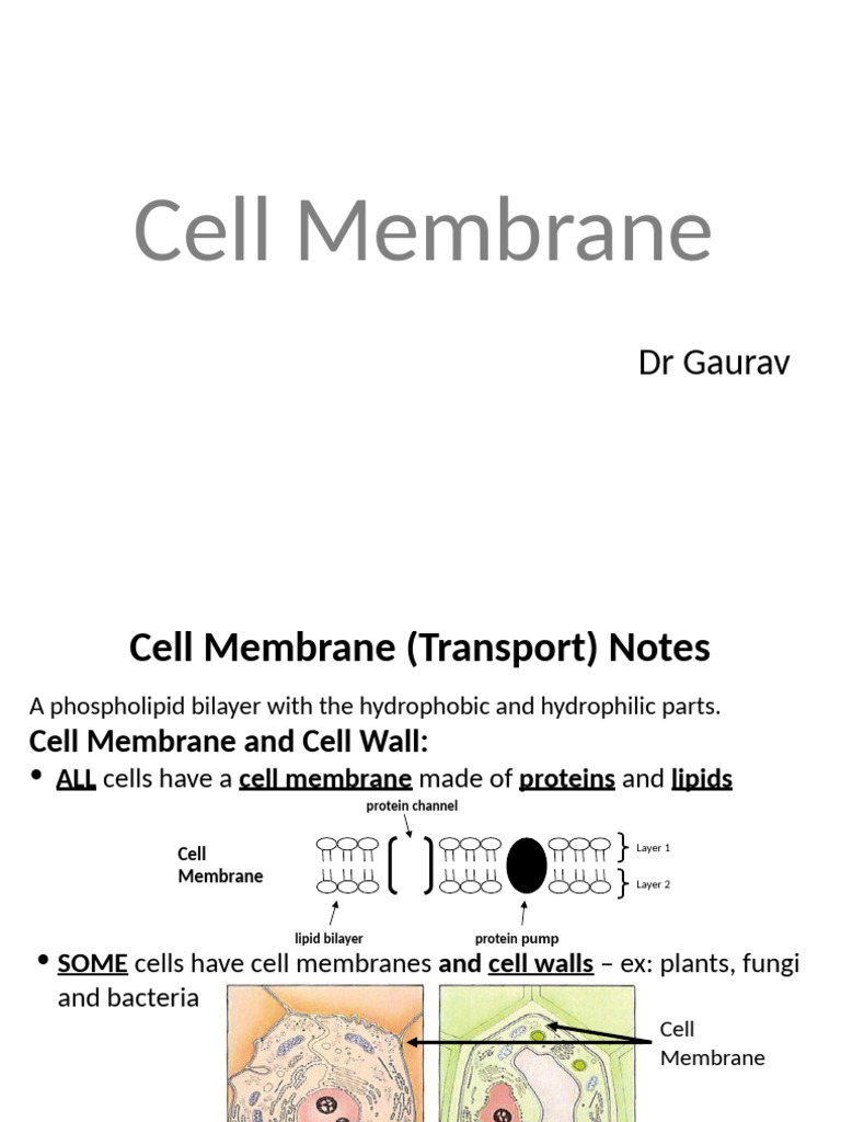 Dr Gaurav Cell Membrane & Cell Transport Notes | PDF