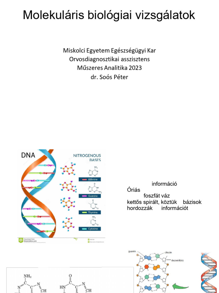 PCR 2 | PDF