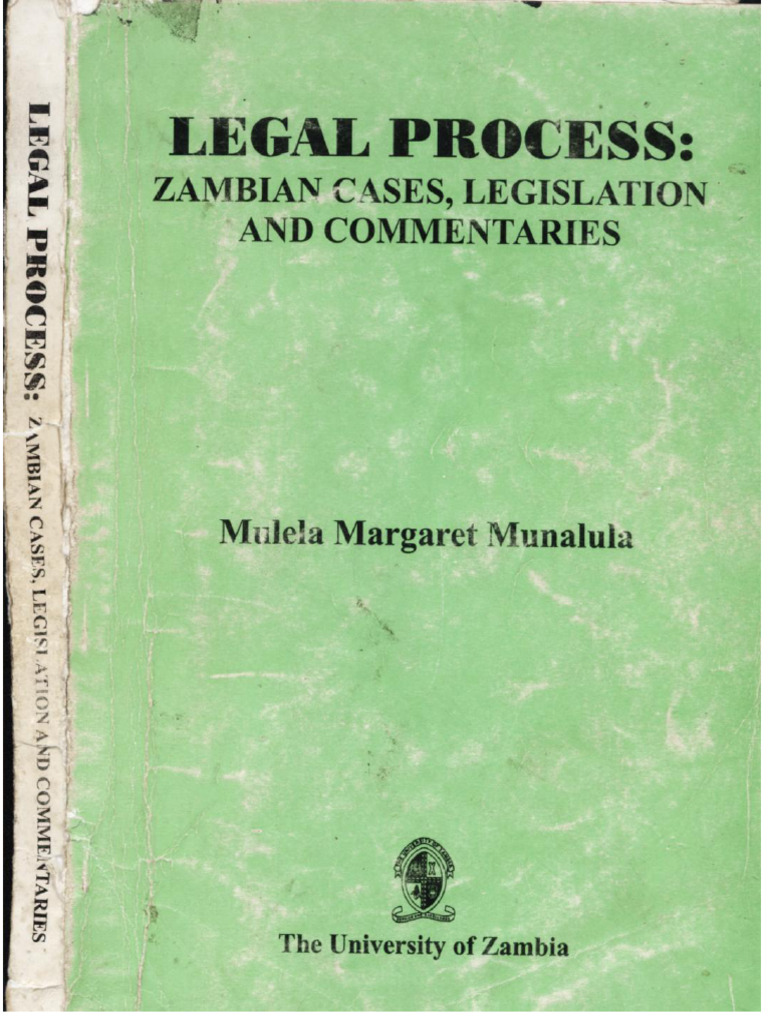 Legal Process - Munalula | PDF