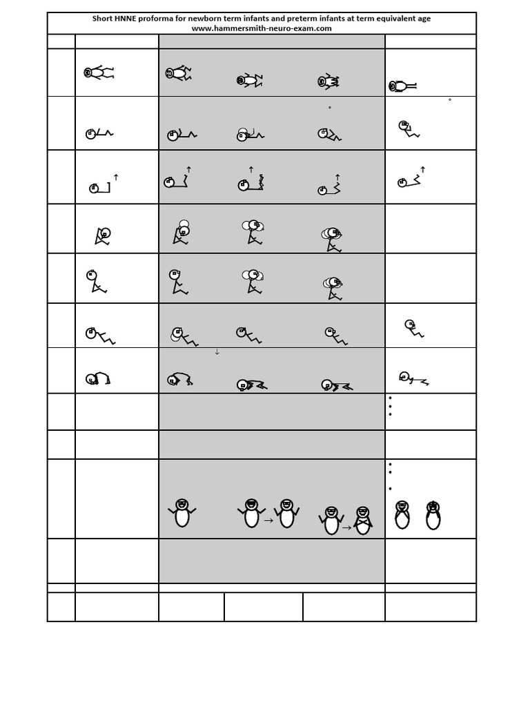HNNE Short Version Screening English | PDF